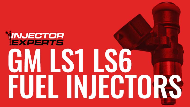 GM LS1 LS6 Fuel Injectors – Ultrasonic GDI Fuel Injector Cleaning ...